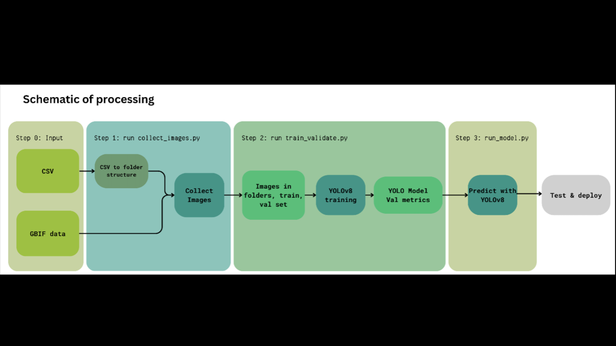 Urban Observatory Sound And Visual Ai For Biodiversity Detection Lcau
